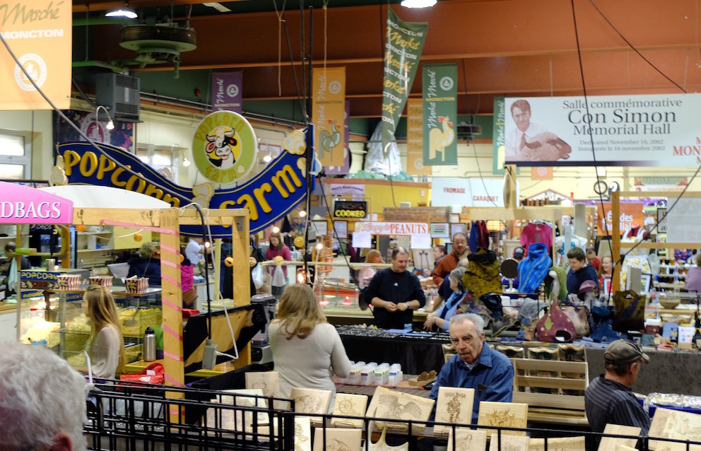 DSCF0850 | The Belugas are Watching